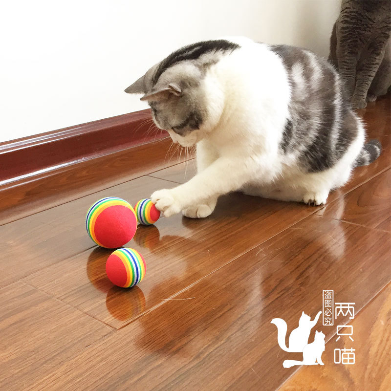 Jual Mainan Kucing Bola Bulu Tikus Berwarna Pelangi Untuk Kucing Elatis ...