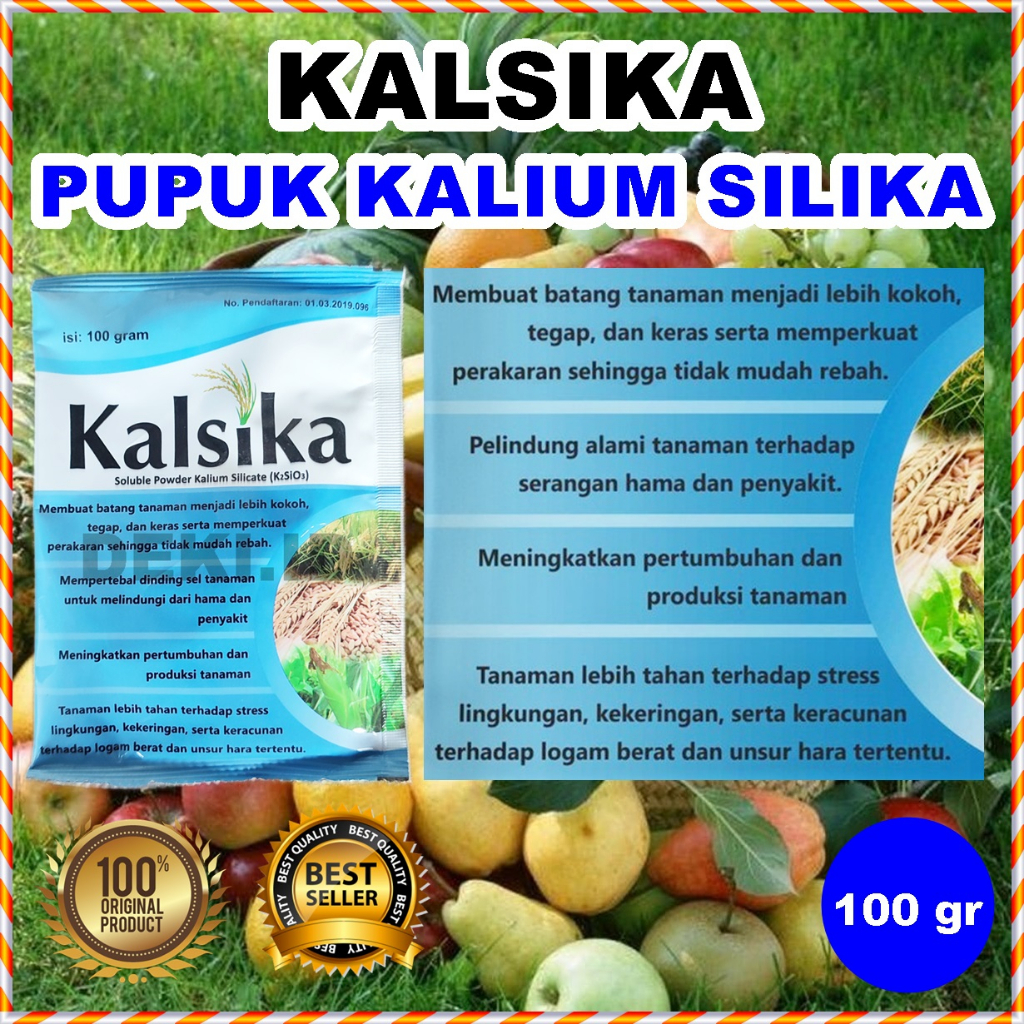 Jual Kalsika 100 gr Pupuk Kalium Silika Nutrisi Silica Organik Tanaman ...