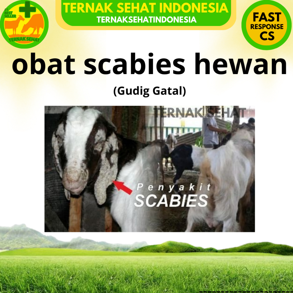 Jual OBAT SCABIES GUDIG HEWAN - Obat Anti Parasit Kutu Caplak Pinjal ...