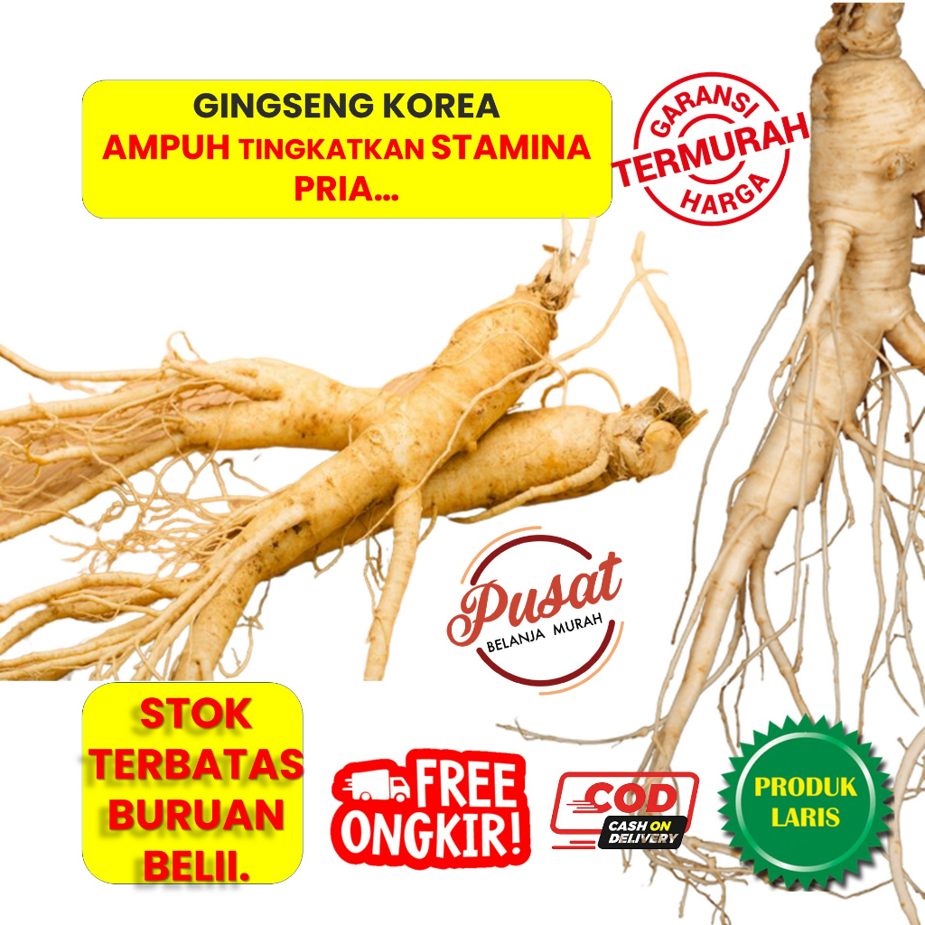 Jual TERMURAHHHH Gingseng Asli Gingseng merah Korea Gingseng merah ...