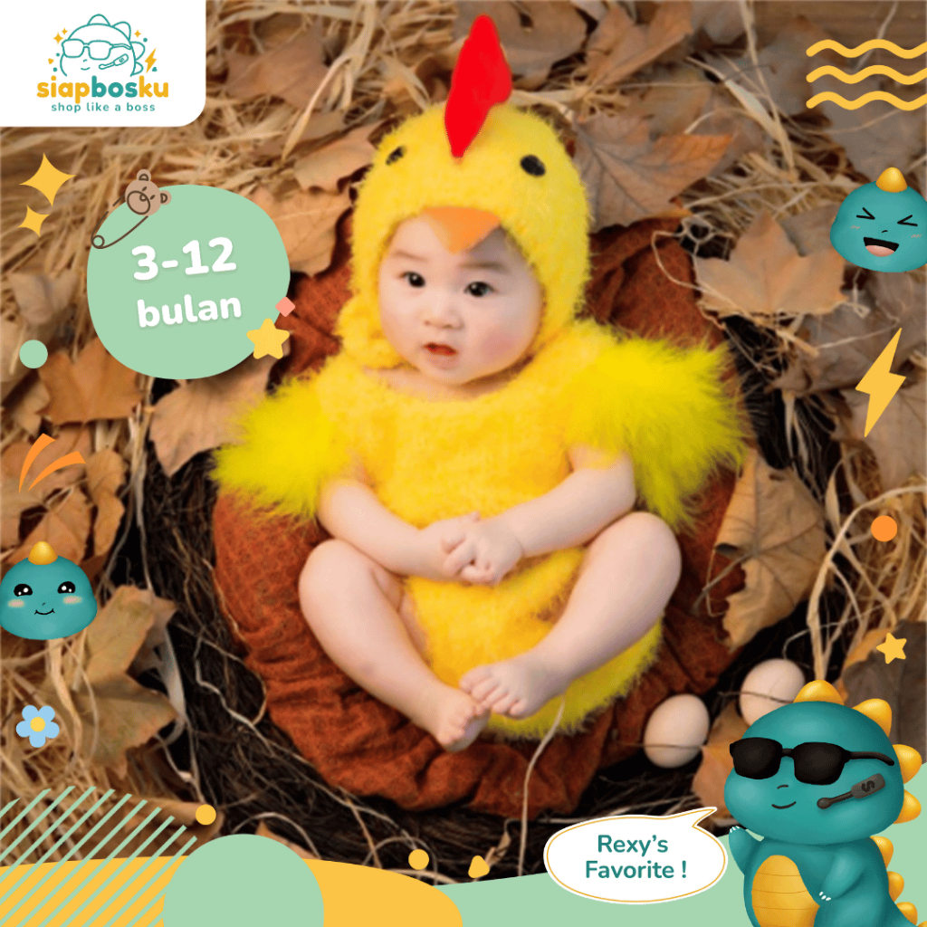 Jual KOSTUM BAYI PROPERTI FOTO BAYI NEWBORN ANIMAL AYAM LUCU | Shopee ...