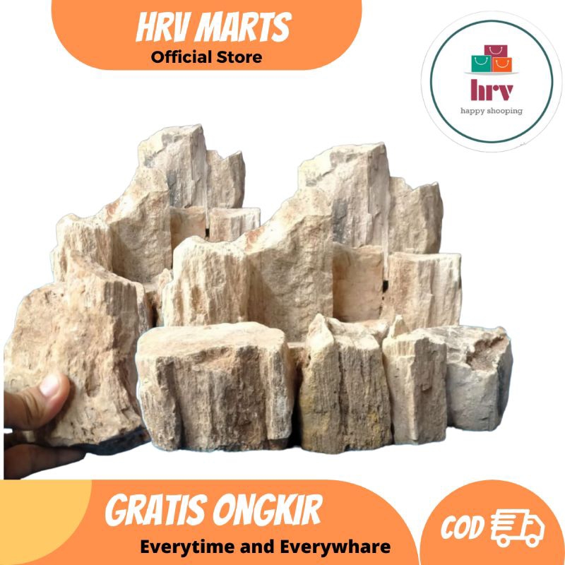 Jual Batu Fosil Fossil Dekorasi Tebing Aquascape Akuarium 1 kg | Shopee ...