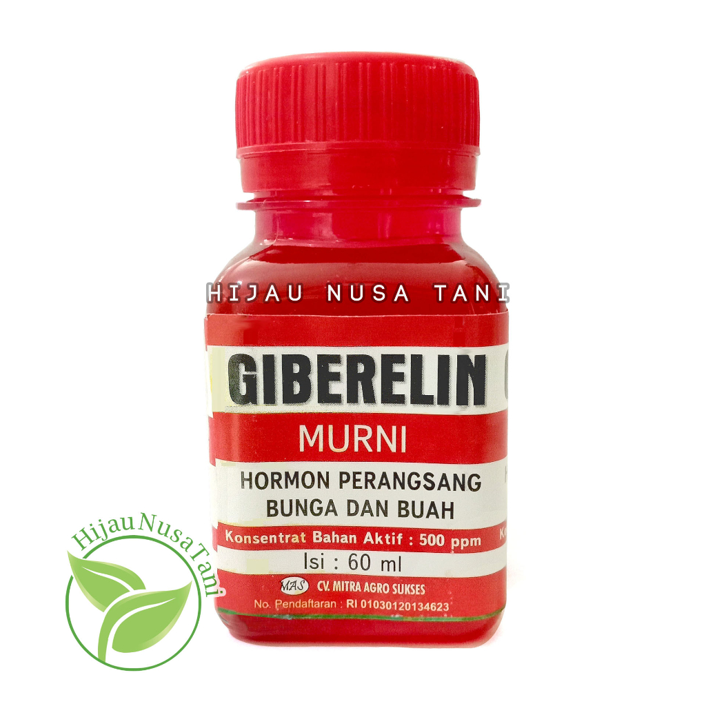Jual GIBERELIN MURNI 60 ml (Asam Giberalat GA3 GA-3) - Hormon ZPT ...