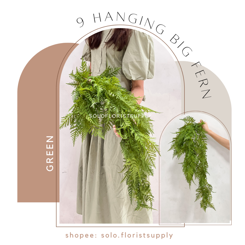 Jual 9 FORK HANGING BIG FERN EUCALYPTUS GRASS DAUN JUNTAI JuntaI ...
