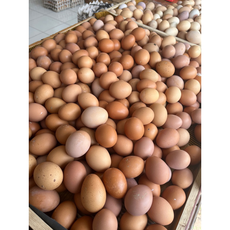 Jual telur ayam kualitas bagus 1 kg | Shopee Indonesia