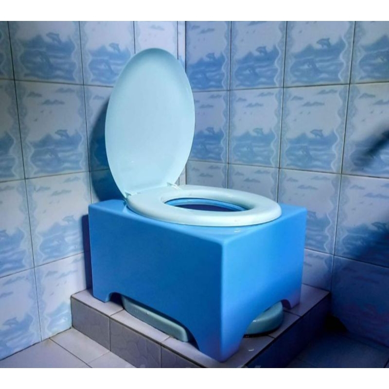 Jual Wc Duduk Closet Portable WcDuduk Closet Jongkok CclosetDuduk wc ...