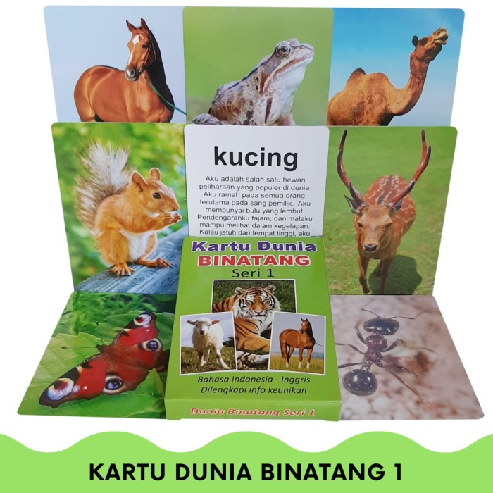 Jual JOY SMART TOYS KARTU DUNIA BINATANG SERI 1 & 2 MAINAN ANAK ...