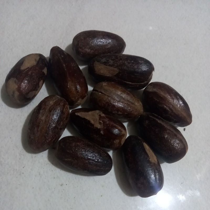 Jual 1kg 1kilo 1000gr Biji pala NUTMEG SEEDS UTUH/KULIT | Shopee Indonesia