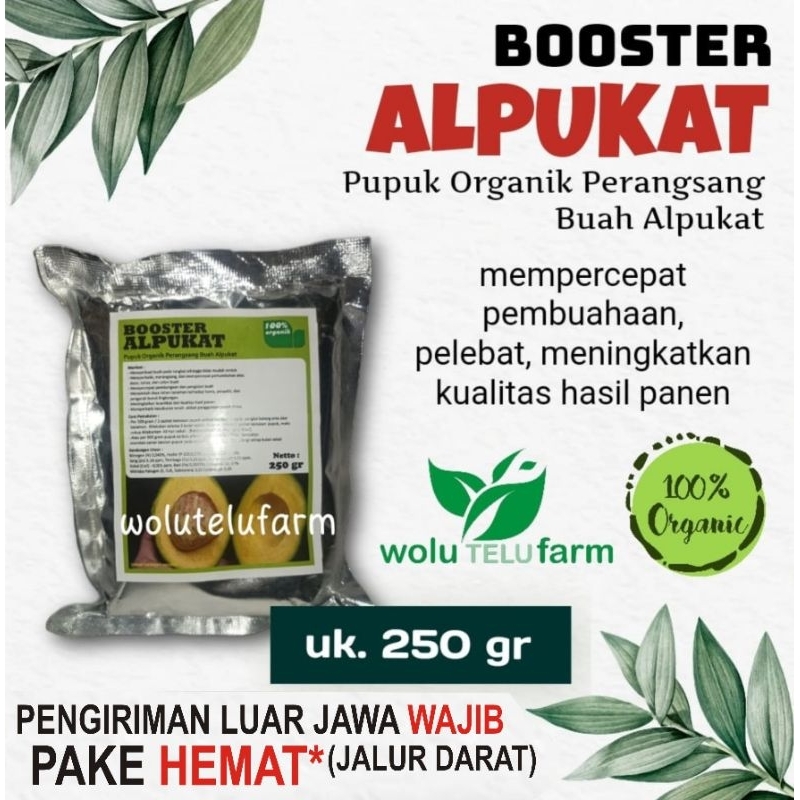 Jual pupuk organik booster alpukat perangsang buah serbuk uk 250gr | Shopee Indonesia