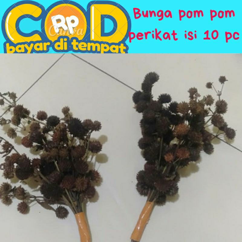 Jual Bunga pom pom perikat isi 10 tangkai panjang 15 cm warna natural ...