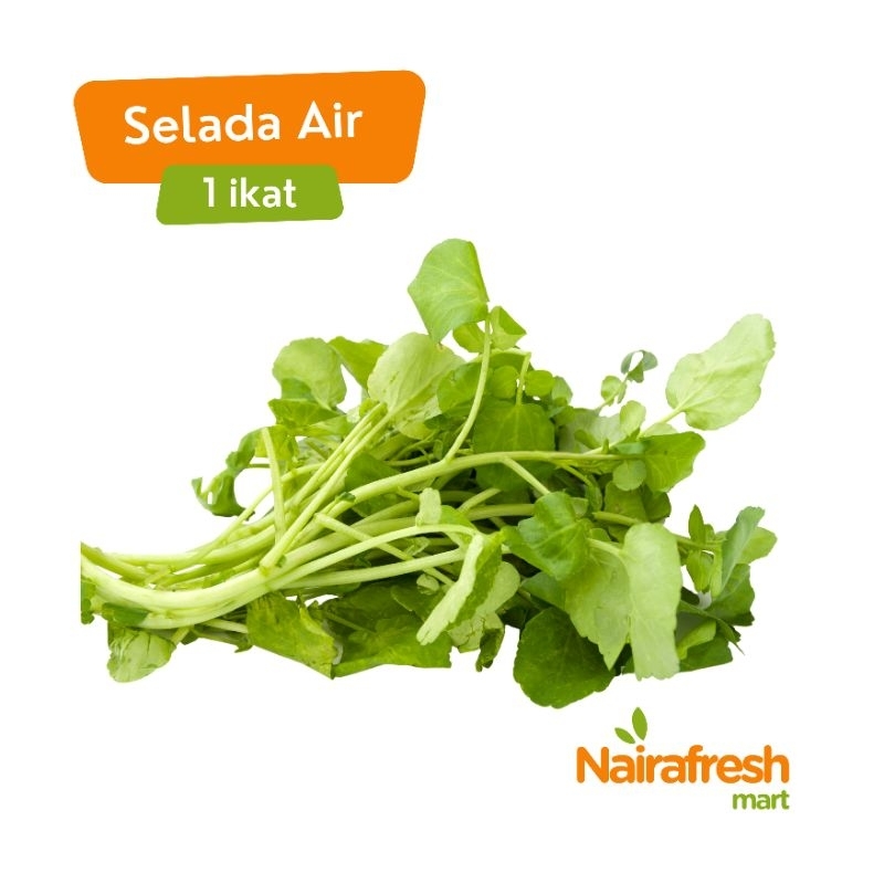 Jual Selada air (sayur segar) | Shopee Indonesia