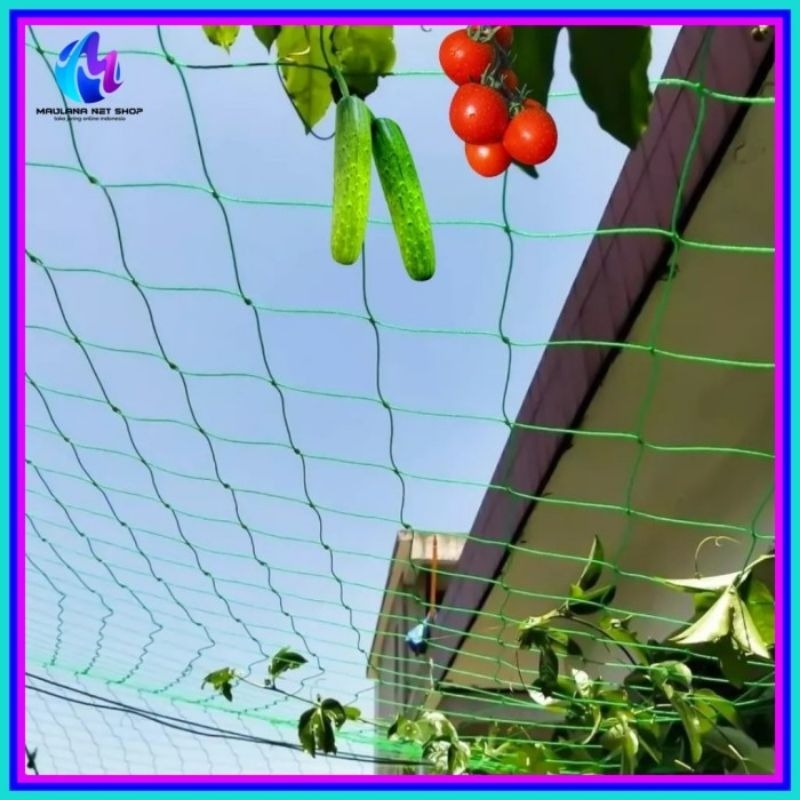 Jual Plant Climbing Net (trellis net)/Jaring Tanaman Merambat/Jaring Tanaman Rambat/Jaring ...