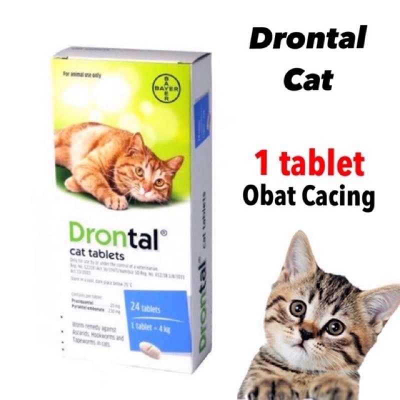 Jual Drontal Cat 1 Tablet Obat Cacing Kucing Drontal Kucing Obat Cacing ...