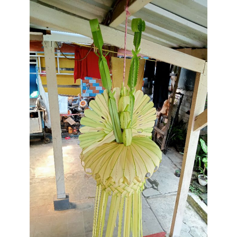 Jual Janur kuning asli segar pernikahan/ khitanan | Shopee Indonesia