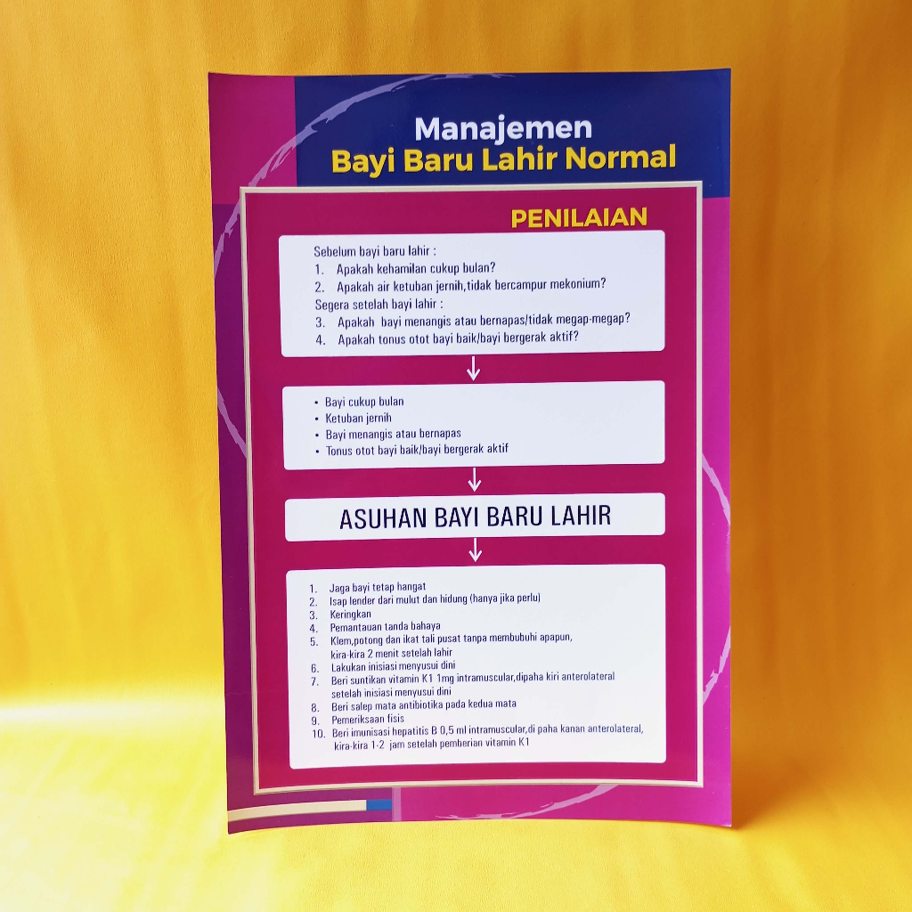 Jual Poster Kebidanan | Poster Keperawatan | Poster Manajemen Bayi Baru ...