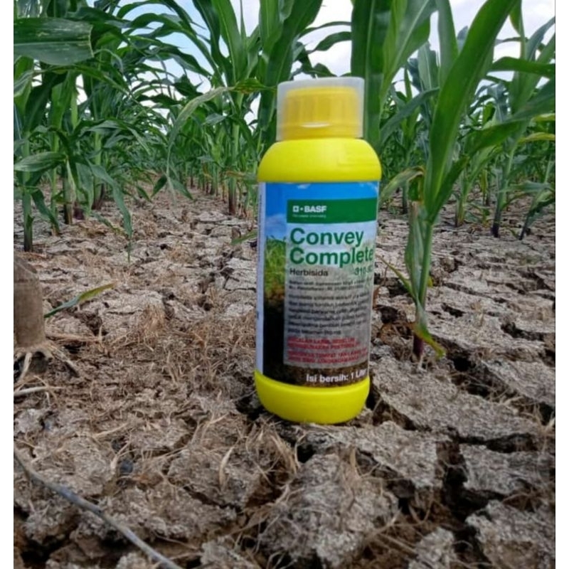 Jual Herbisida Selektif Jagung Convey Complete 310 500ML | Shopee Indonesia
