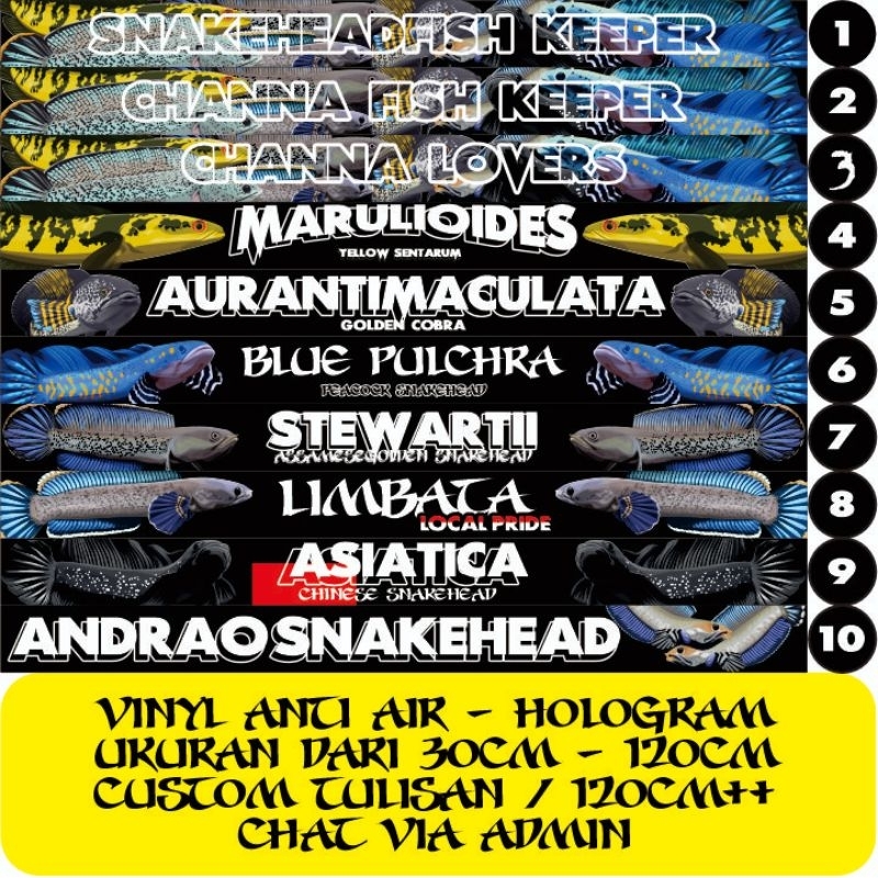 Jual STIKER LIST AQUARIUM/TANK PREDATOR/CHANNA/AROWANA/PBASS | Shopee ...