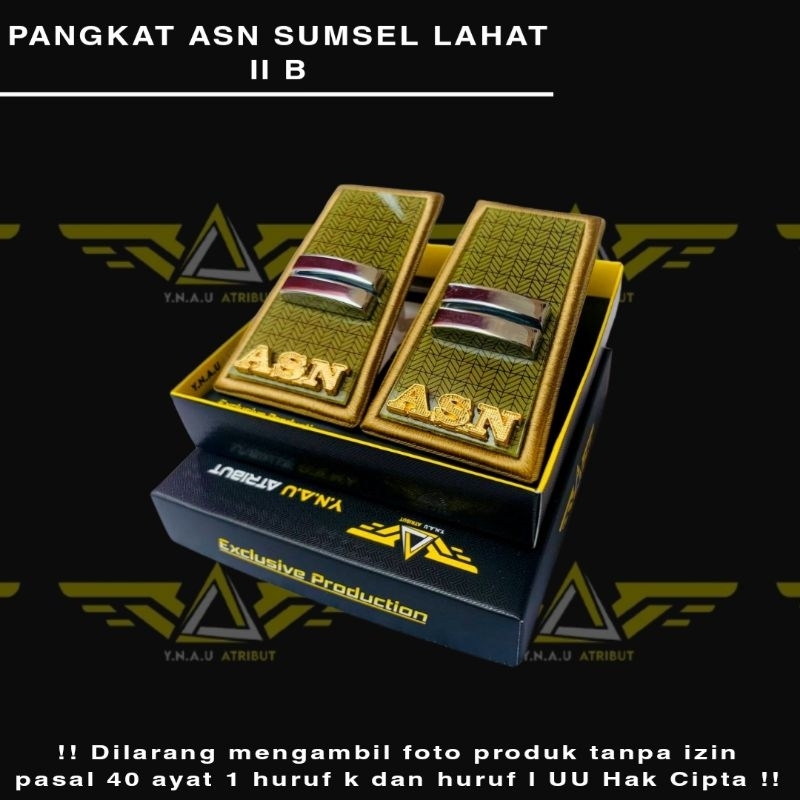Jual ATRIBUT ASN / PANGKAT ASN SUMSEL LAHAT GOLONGAN 2B EXCLUSIVE ...