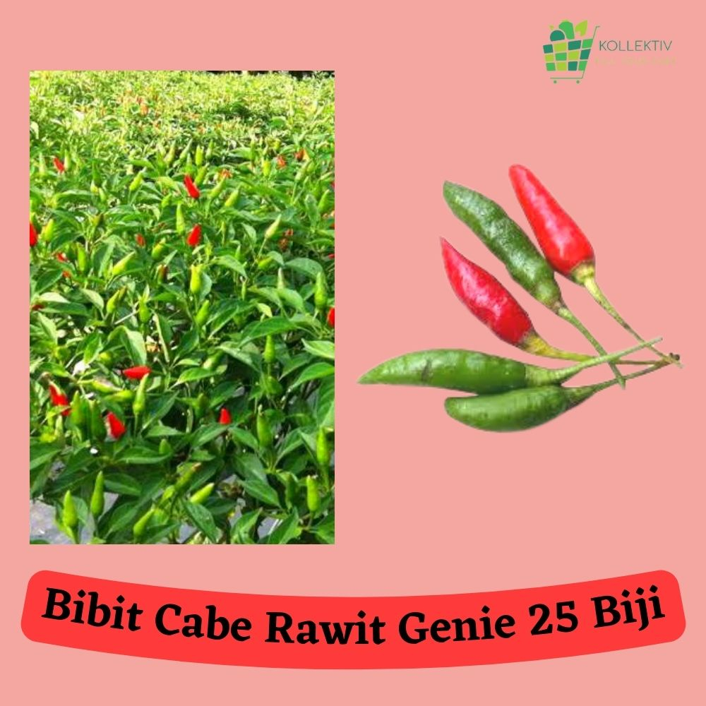 Jual Bibit Cabe Rawit Genie / Benih Sayuran | Shopee Indonesia