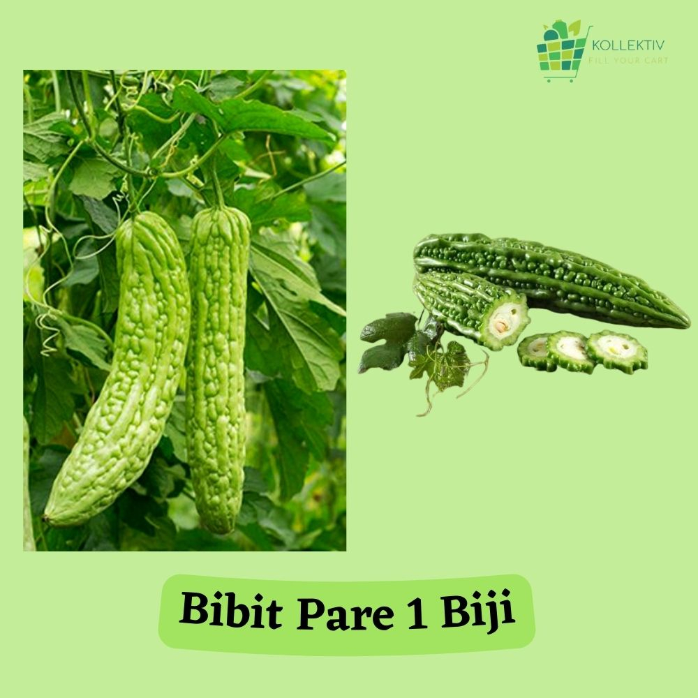 Jual Bibit Pare / Paria / Benih Sayuran | Shopee Indonesia