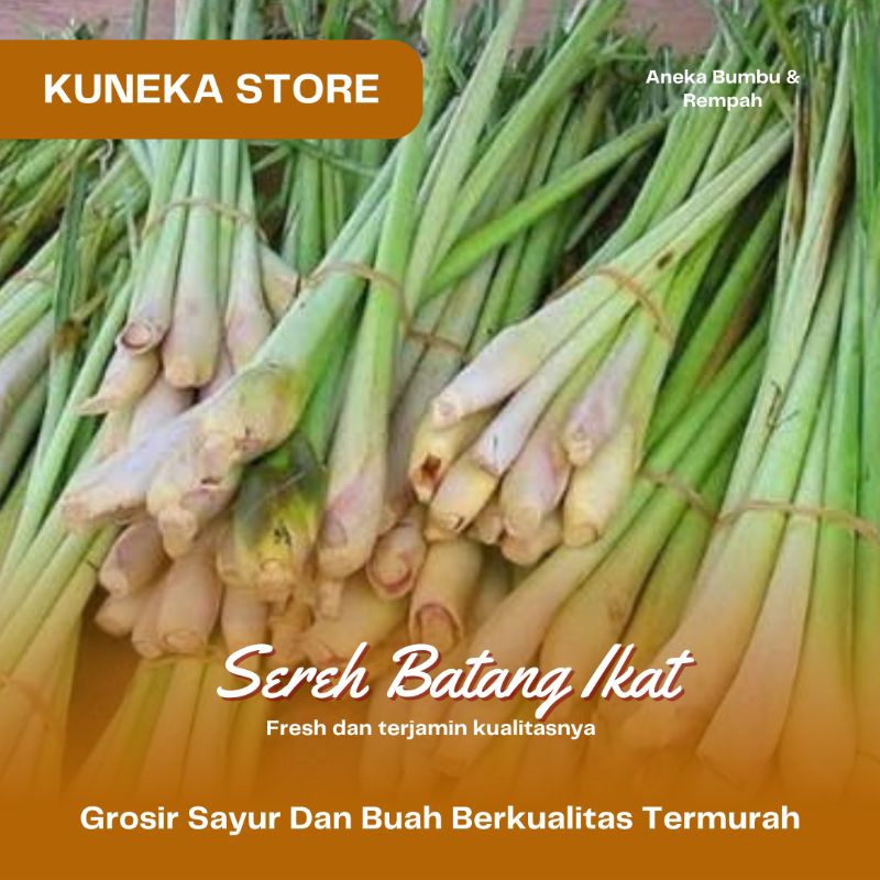 Jual SEREH FRESH BATANG IKAT SERAI SEGAR | Shopee Indonesia