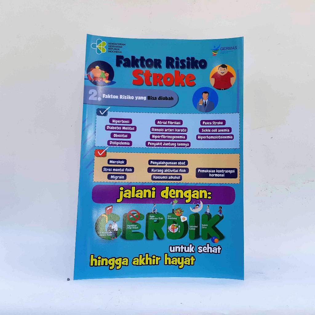 Jual Poster Penyakit | Poster Faktor Risiko Stroke | Poster Stroke ...