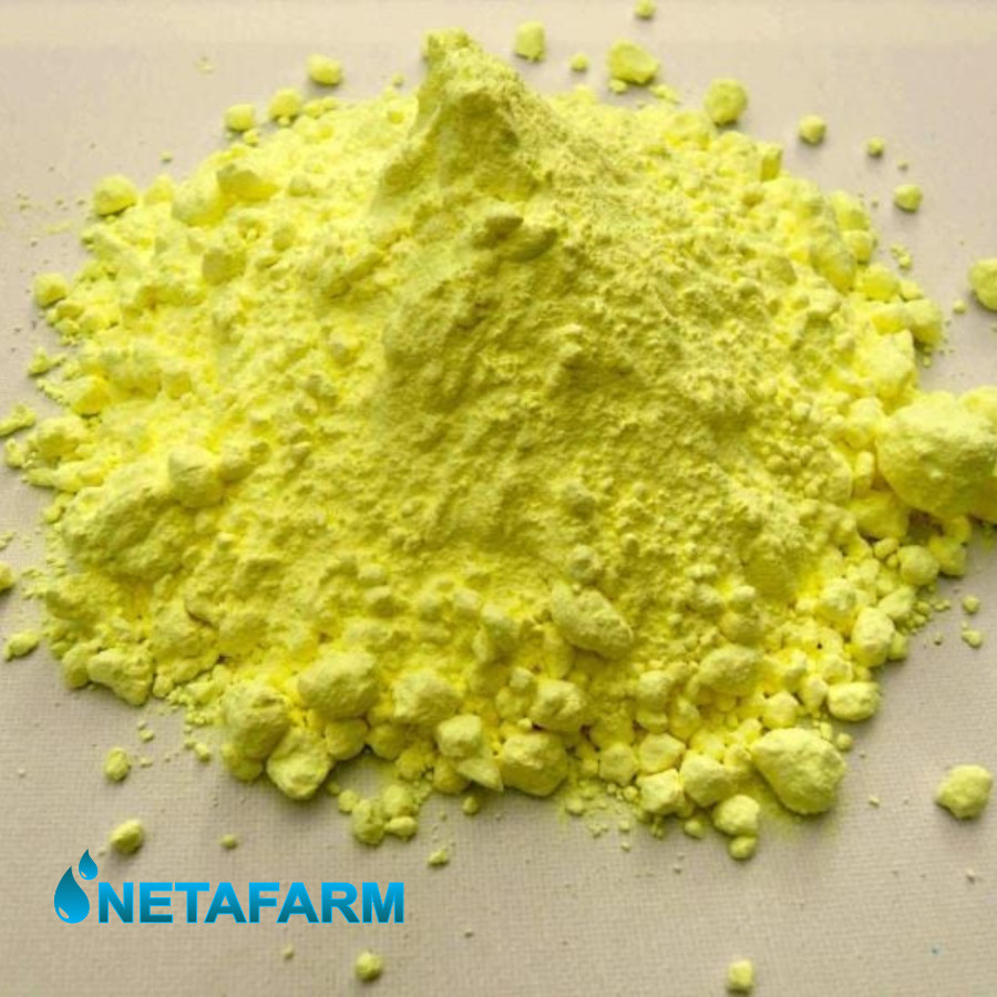 Jual Blerang Bubuk Halus Suulfur Powder Belerang Suulfur 99,8% - 1kg ...