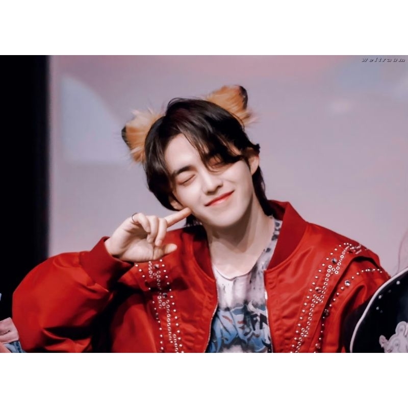 Jual Koala merch | Shopee Indonesia