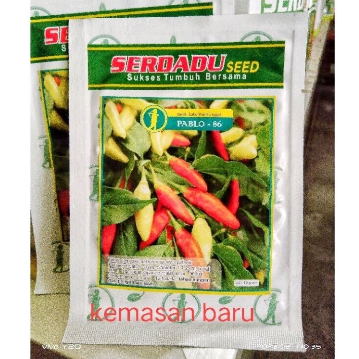 Jual Benih cabe rawit Pablo-86 berat 10gram | Shopee Indonesia