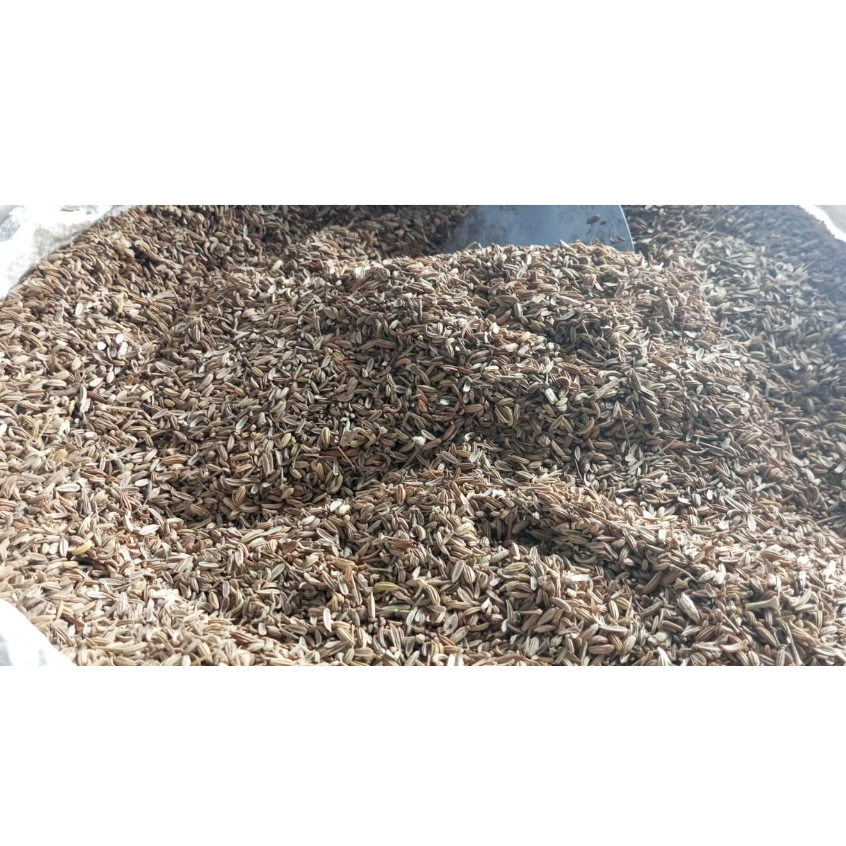 Jual Bumbu Rempah Adas Manis 50g & 100g | Shopee Indonesia