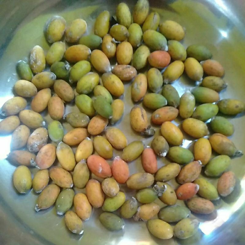 Jual SAYUR KULIT MELINJO / MLINJO / TANGKIL / BLINJO / BELINJO SEGAR ...