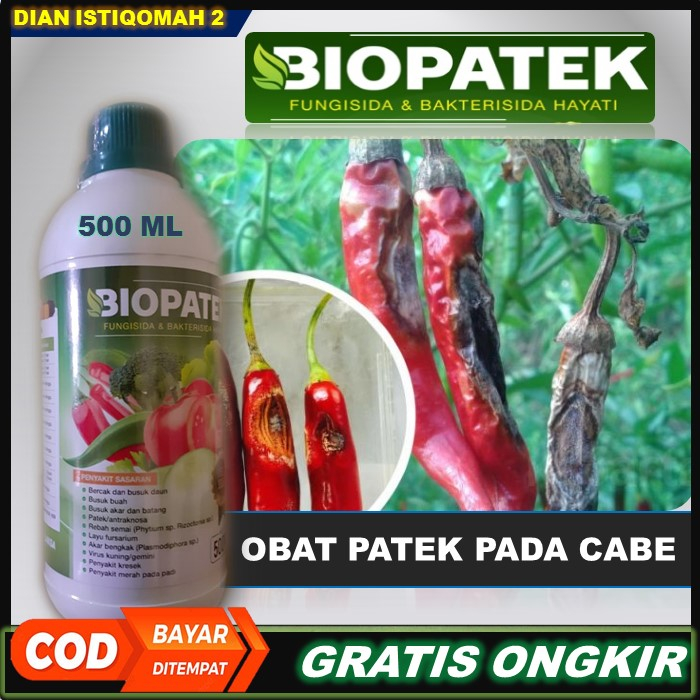 Jual Terbaru BIOPATEK Fungisida & Bakterisida Hayati Pupuk Paling Ampuh ... Jual Terbaru BIOPATEK Fungisida & Bakterisida Hayati Pupuk Paling Ampuh ...