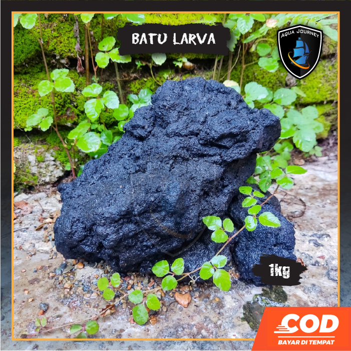 Jual Batu Lava Rock Hitam - Batu Hias Aquascape Larva Lavarock Natural ...