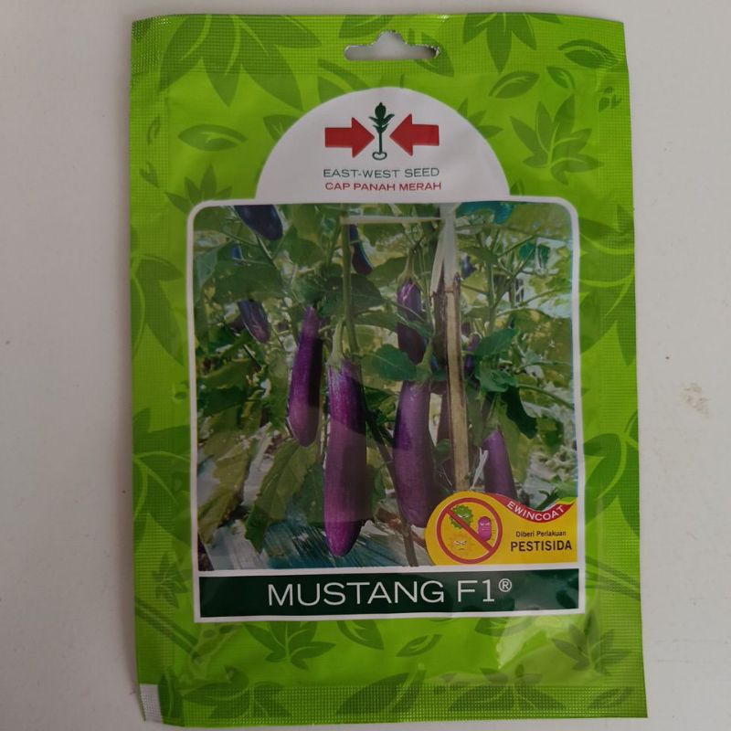 Jual 400 Butir Benih Terong Ungu Mustang F1 Exp 2026 | Shopee Indonesia