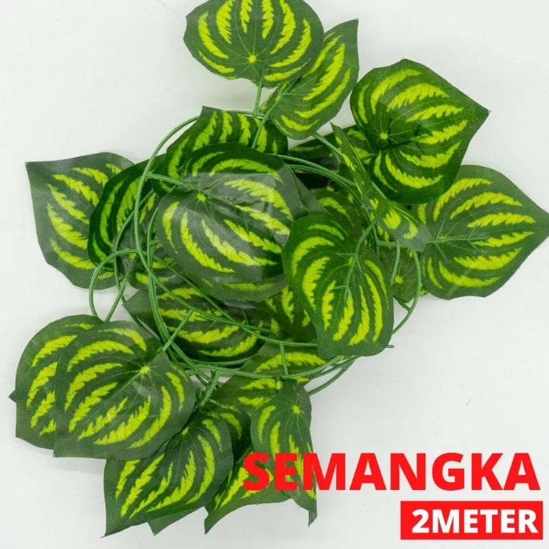 Jual Daun Rambat Semangka 2 METER/ Daun imitasi /daun plastik (satuan ...