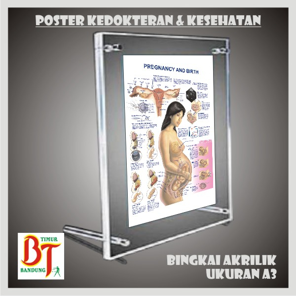 Jual POSTER KESEHATAN KEDOKTERAN BINGKAI AKRILIK STANDING FRAME A3 ...