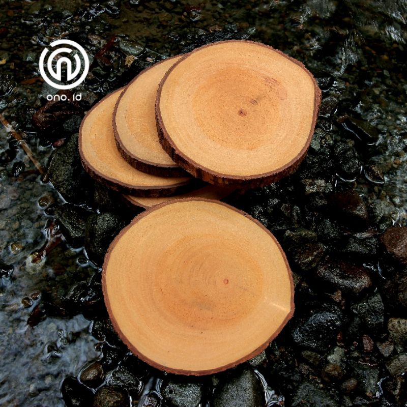 Jual Wood Slice 16 - 18 cm | Beli 10pcs - Free 1pcs | Log Wood ...