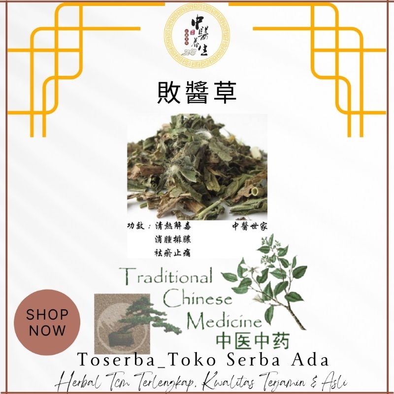 Jual 100gr herbal bai jiang cao / herba patriniae whiteflower patrinia ...