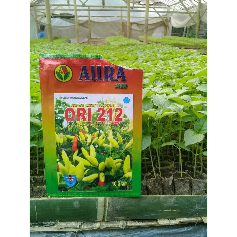 Jual Benih Bibit Cabai Rawit Ori 212 F1 (Tahan Virus, Perawatan Mudah) isi 10 Gram Kadaluarsa ...