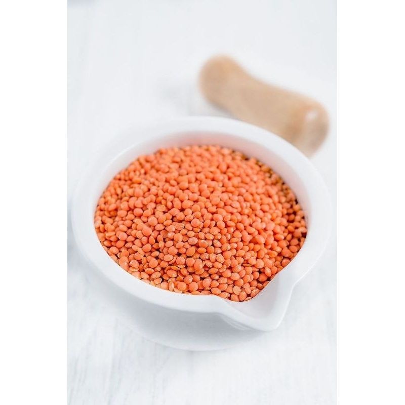Jual Lentil orange - masoor split 500gr - ethiopian lentil ( Mesir Wat ...