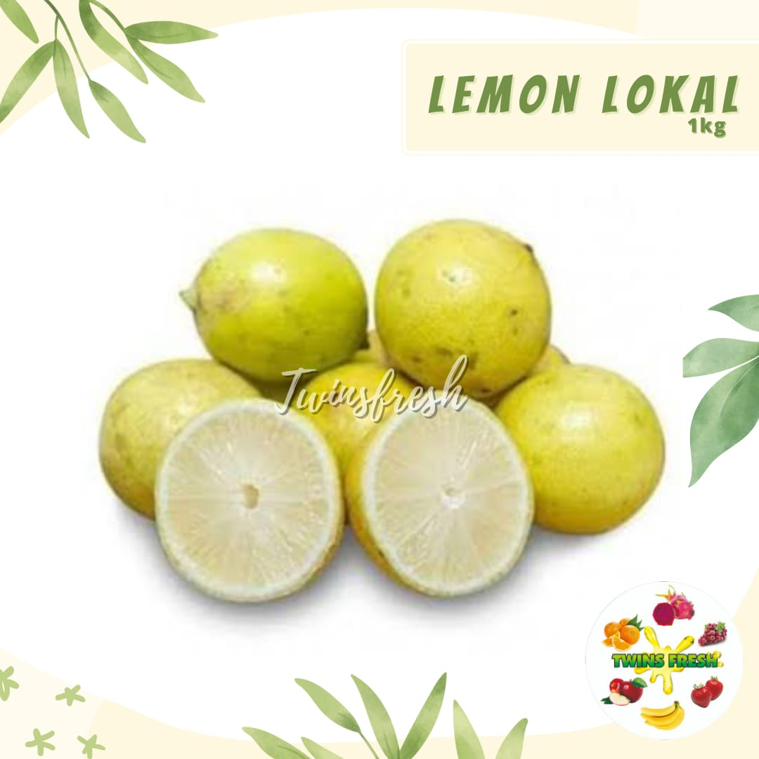 Jual Lemon Lokal 1kg | Shopee Indonesia