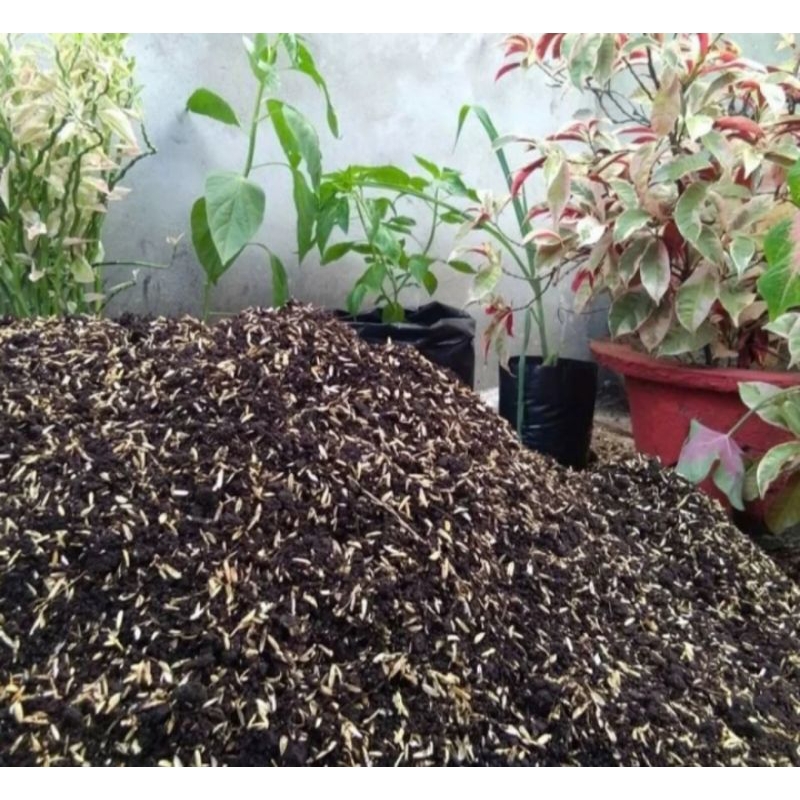 Jual media tanaman sekam+tanah 1kg | Shopee Indonesia