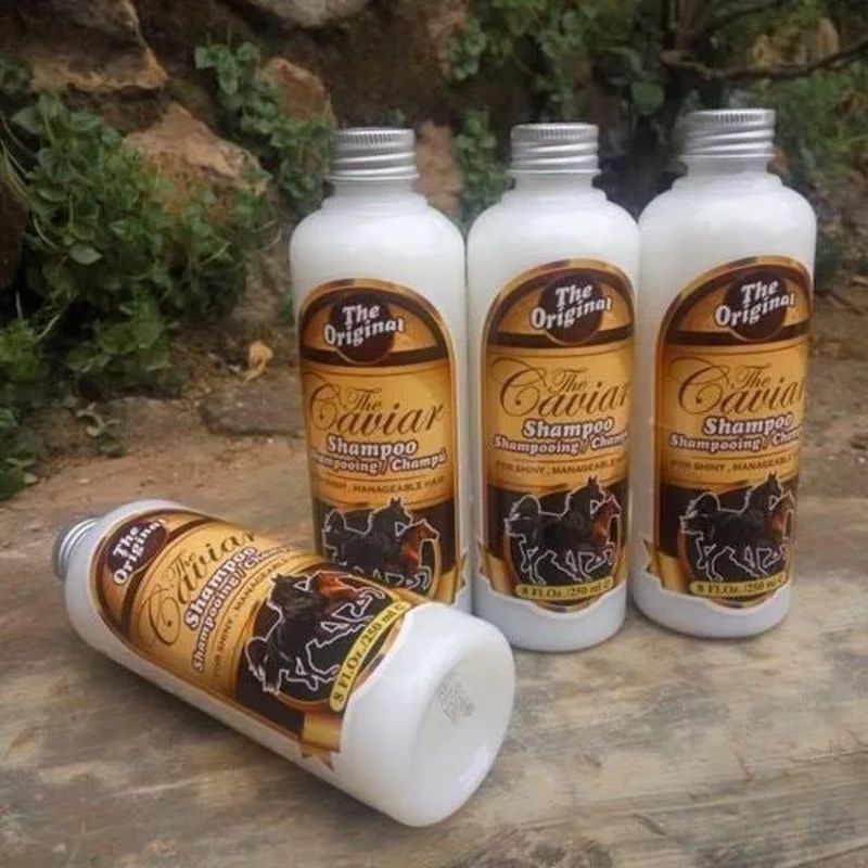 Jual CAVIAR SHAMPO PEMANJANG RAMBUT/SHAMPO KUDA ORIGINAL | Shopee Indonesia