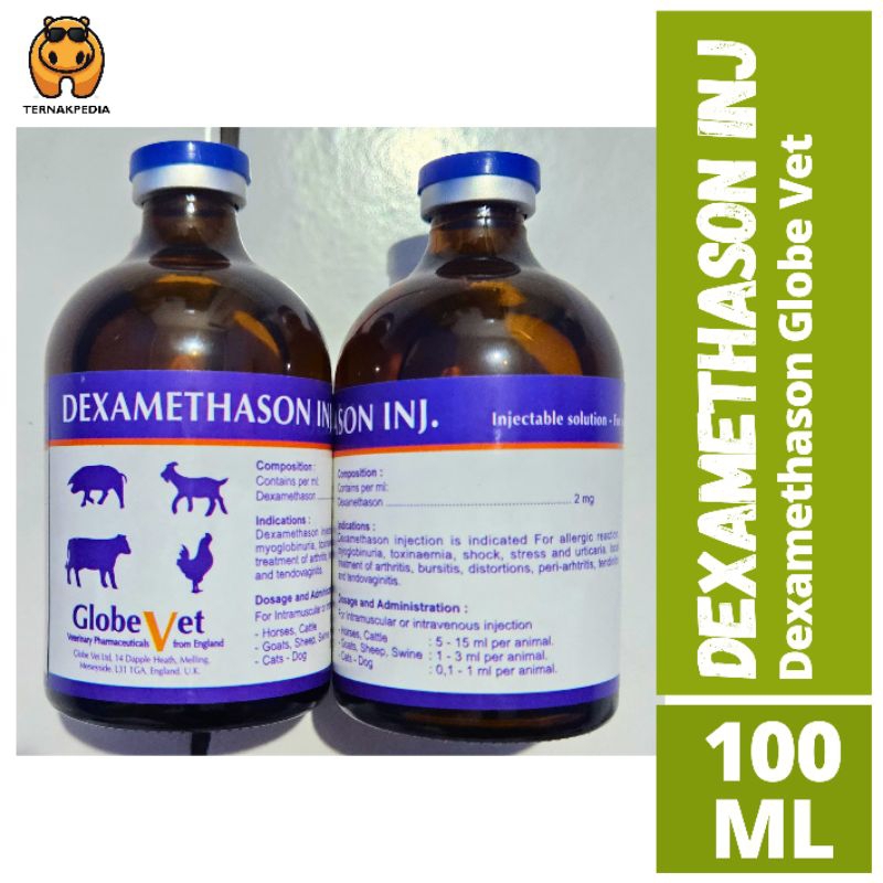 Jual Dexa Globe Vet 100ml - Dexamethason Pantex holland - Obat Injek ...