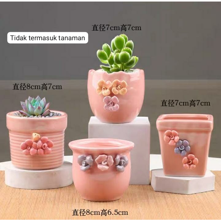 Jual Pot Sukulen 3D Pink (pilih varian) | Shopee Indonesia