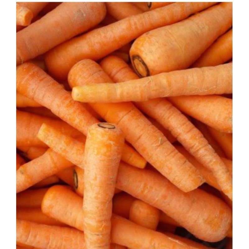 Jual wortel lokal 250gr | Shopee Indonesia