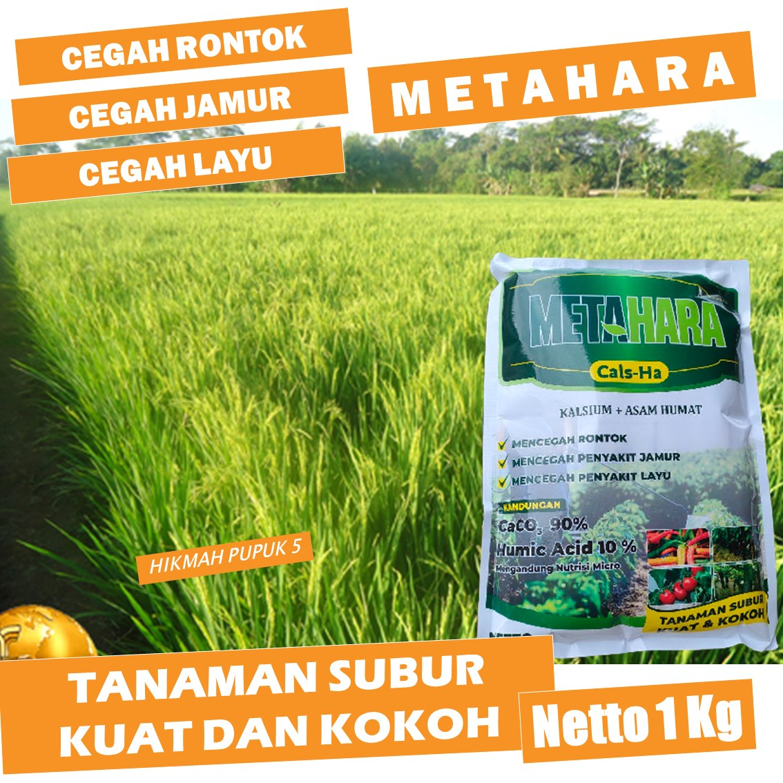 Jual PUPUK MENCEGAH PADI MUDAH ROBOH SAAT MUSIM HUJAN METAHARA isi 1 kg ...
