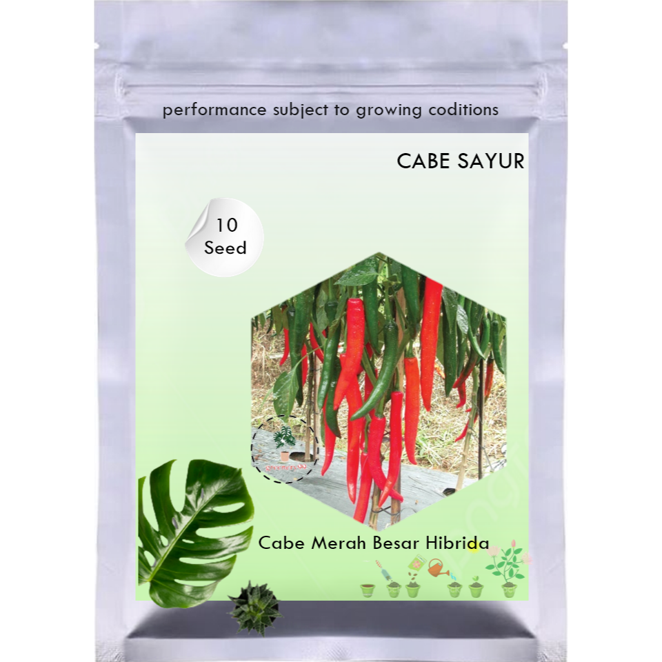 Jual 10Bibit Cabe Merah Besar Hibrida F1 Darmais Benih Cabai Super ...