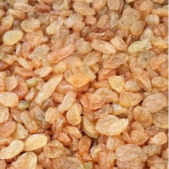 Jual Kismis Jumbo | Golden Raisins Grade AA 1kg | Shopee Indonesia