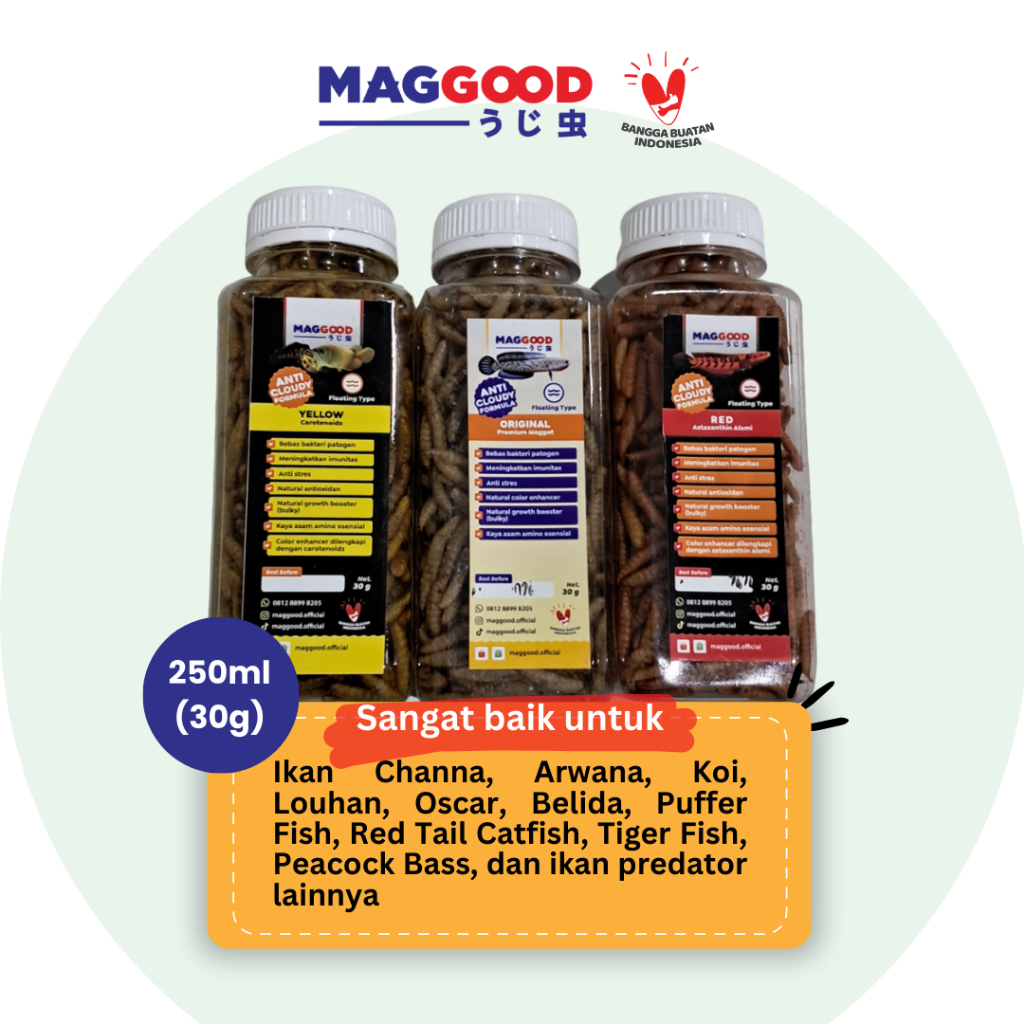 Jual Red Maggot Maggot Kering Magot Kemasan Botol 250ml 30g Maggood ...